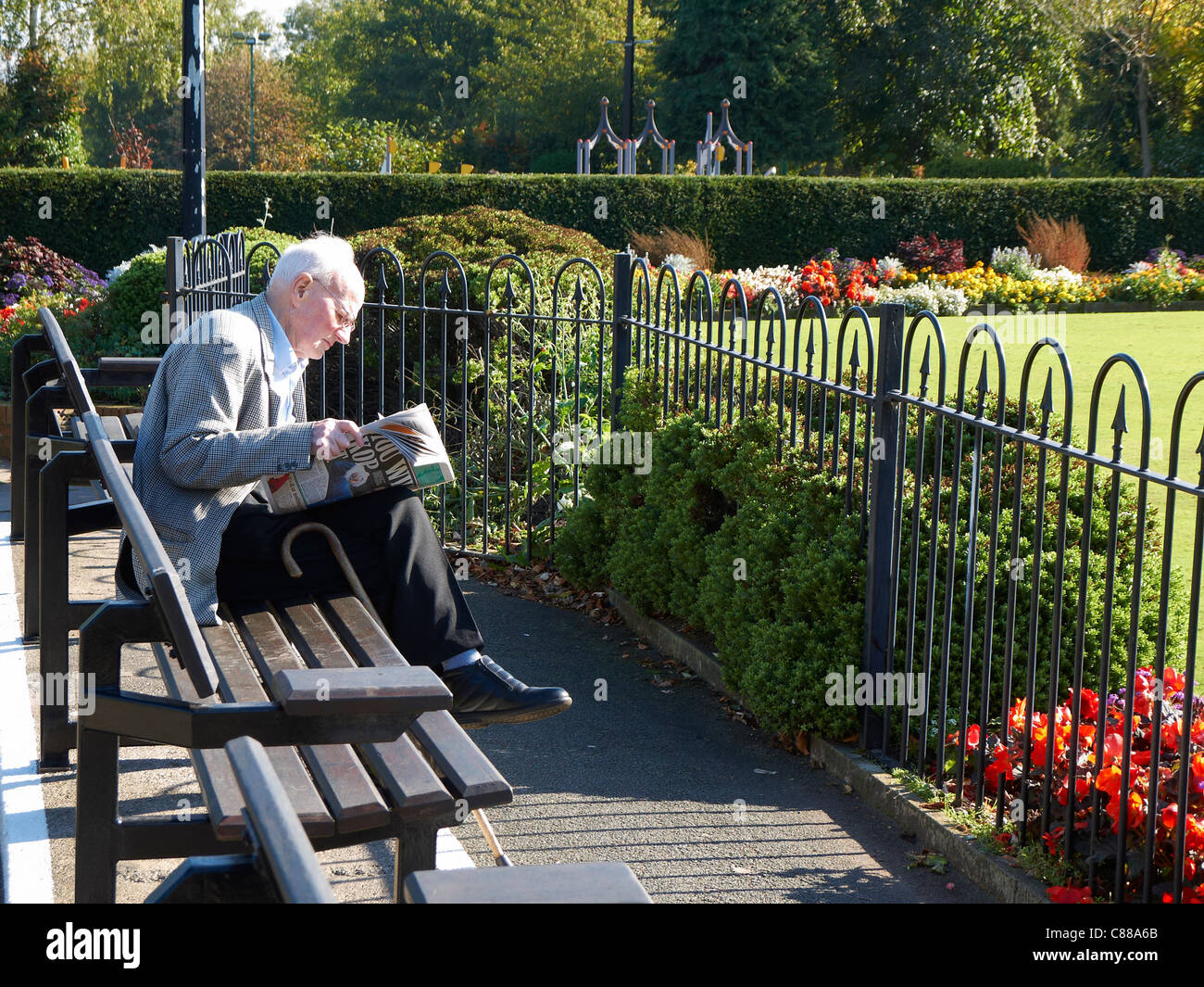 Senior man is reading his newspaper in a park Stock Photo - Alamy