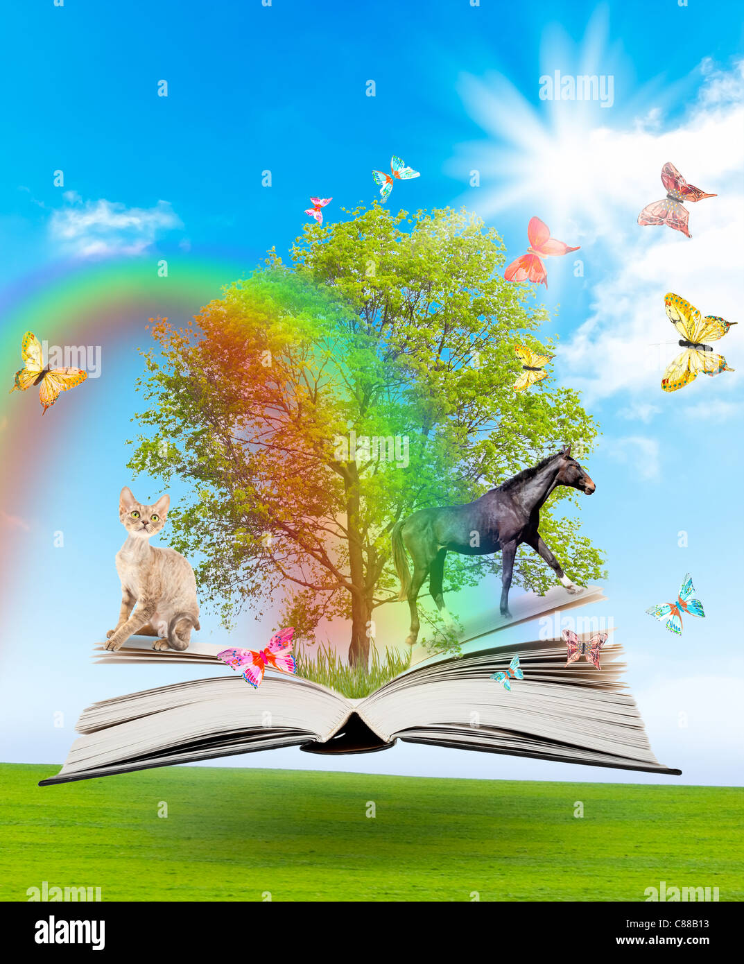 Magical Nature Backgrounds