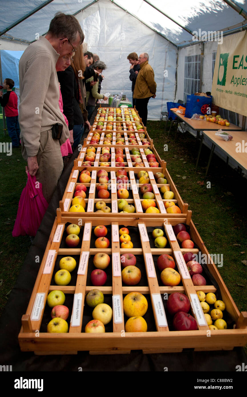 English orchards hi-res stock photography and images - Alamy