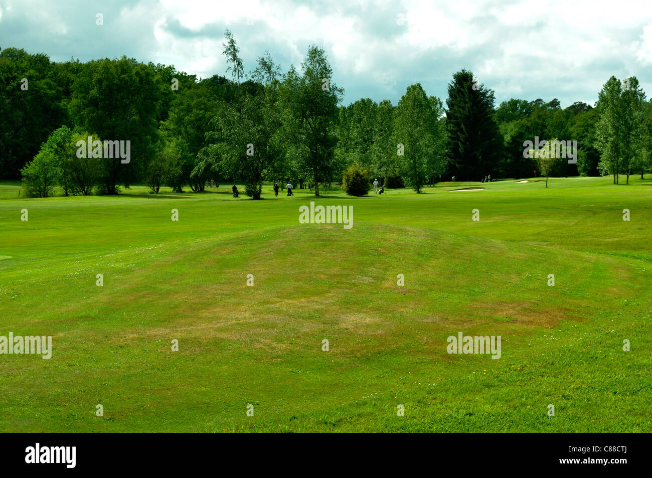 Golf course, flag on the lawn (Normandy, France Stock Photo - Alamy