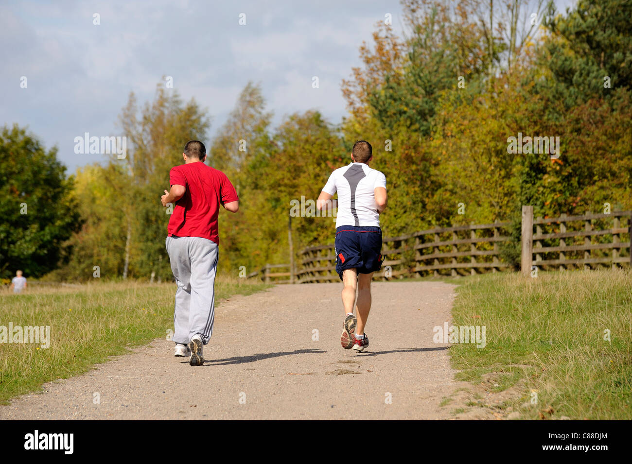 two men running in country park england uk Stock Photo - Alamy