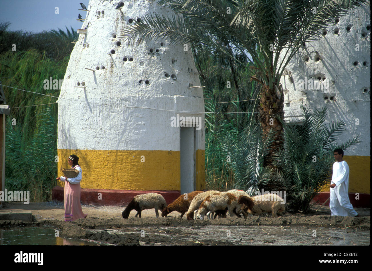Ancient egypt farming hi-res stock photography and images - Alamy