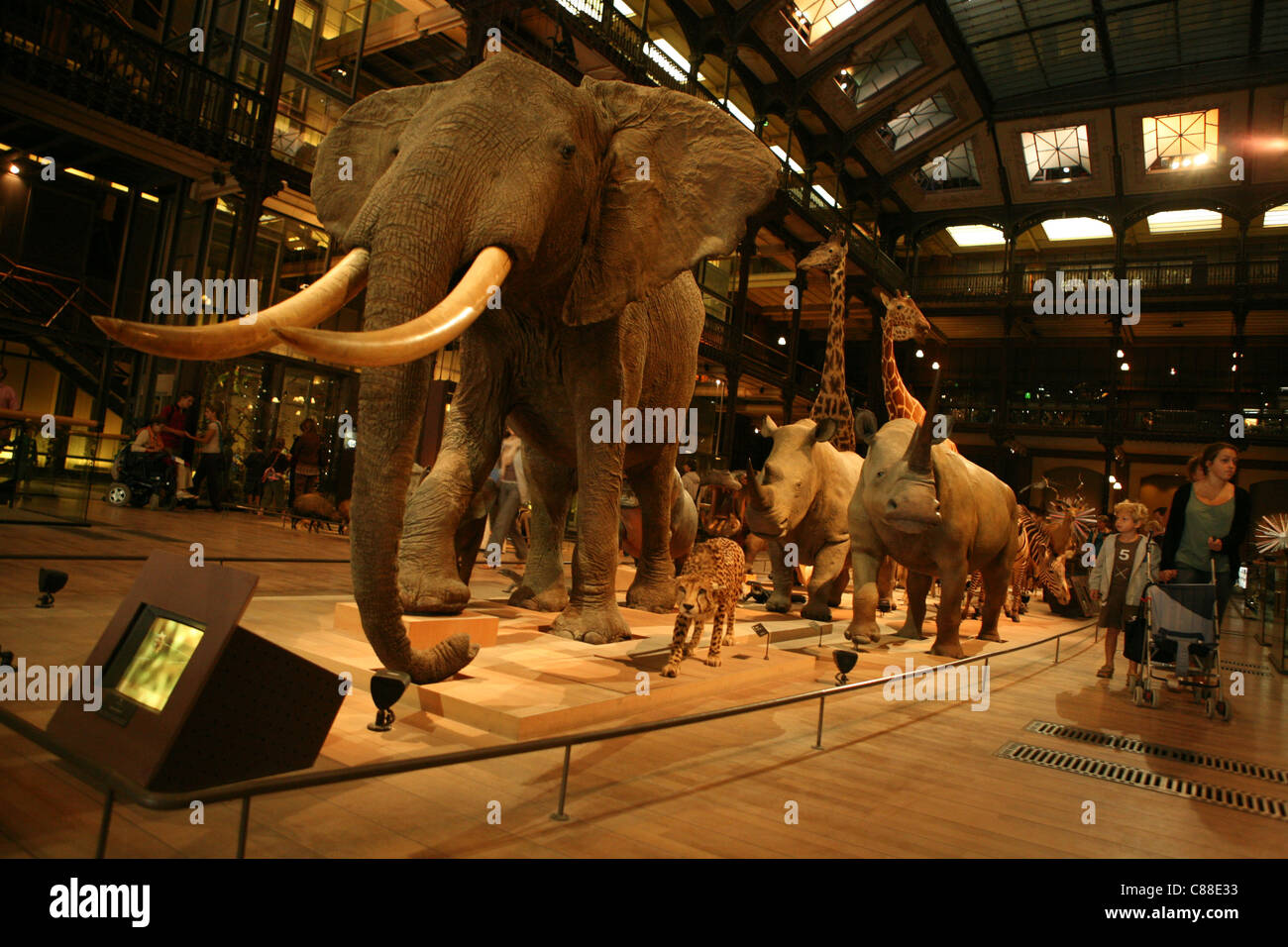 The Great Gallery of Evolution in Paris, France Stock Photo - Alamy