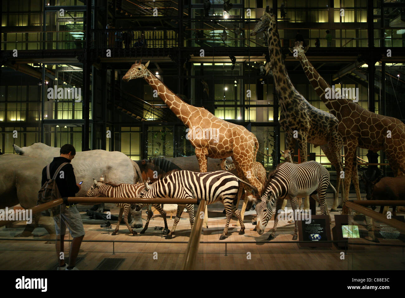 The Great Gallery of Evolution in Paris, France Stock Photo - Alamy