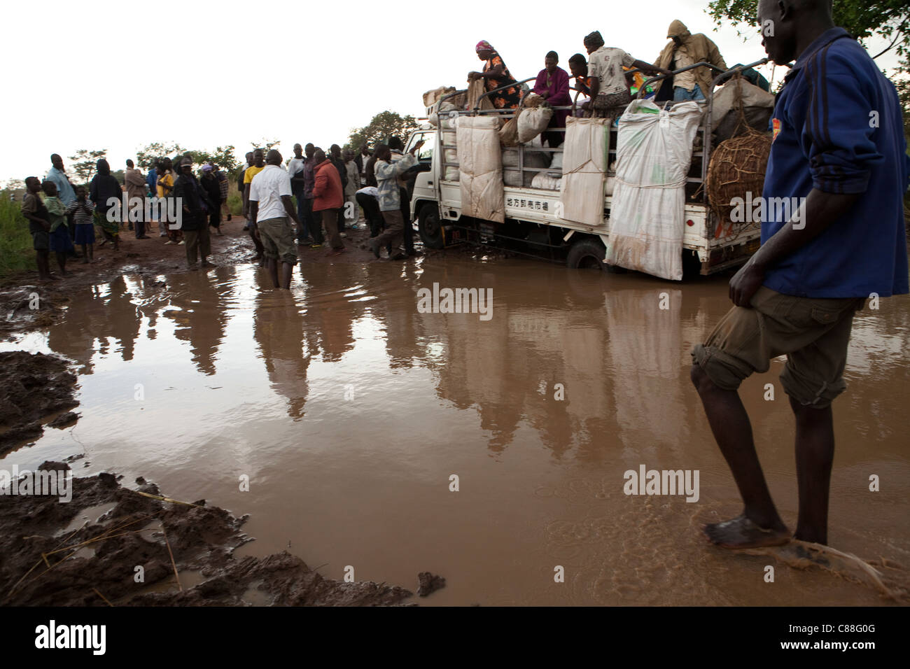 Amuria hi-res stock photography and images - Alamy