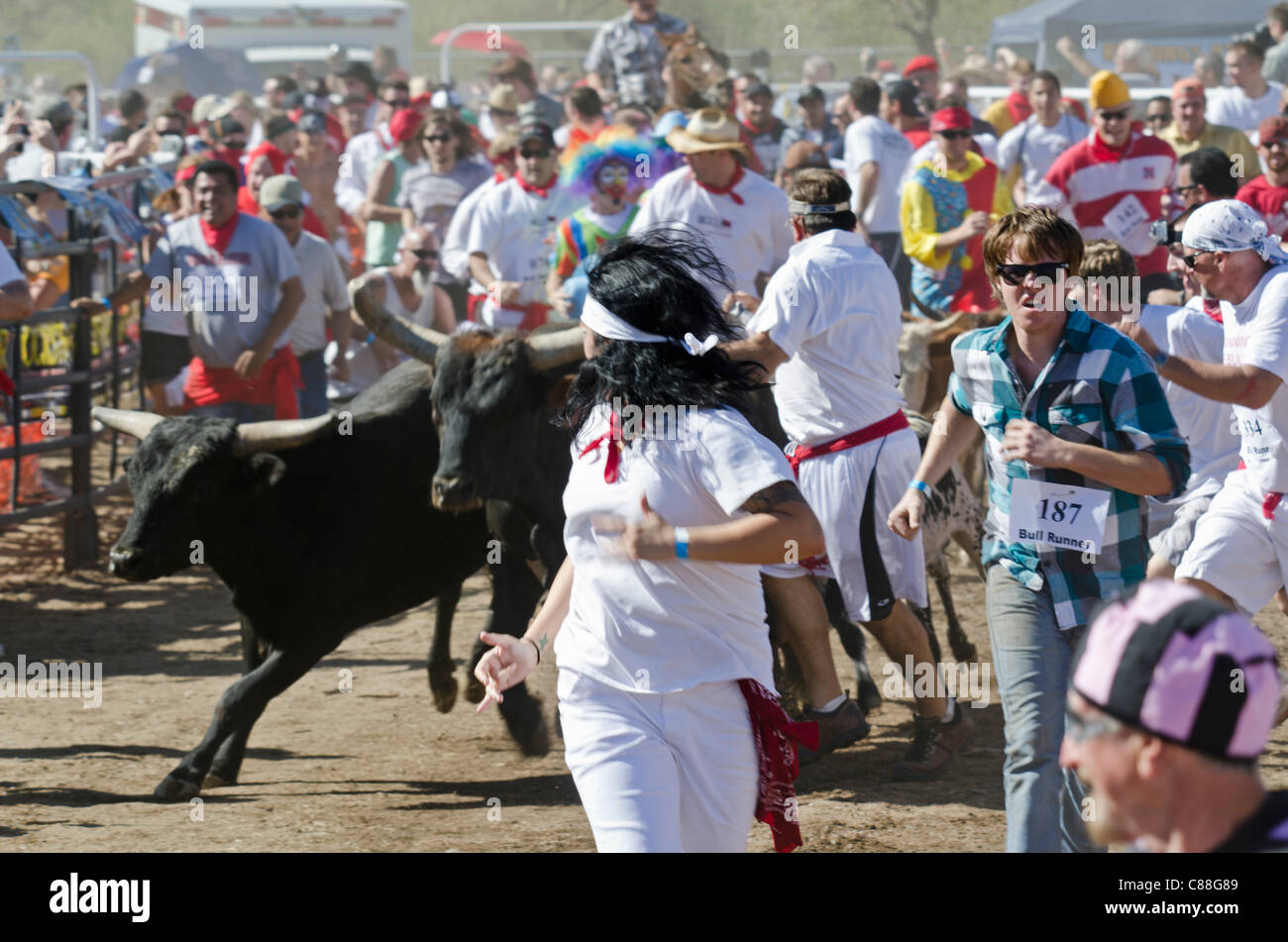 Stampede of bulls usa hi-res stock photography and images - Alamy