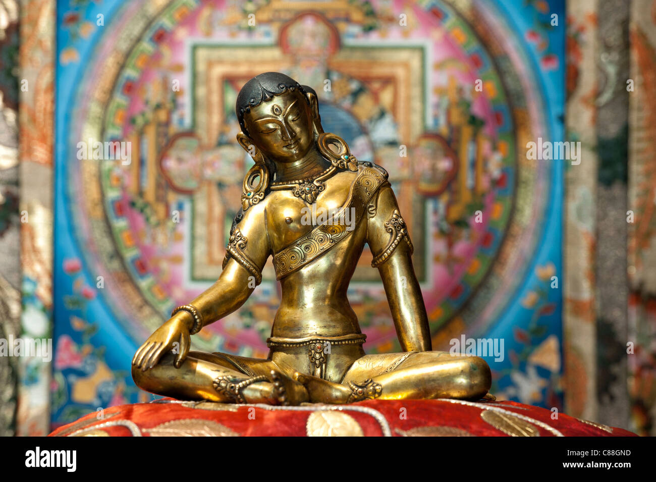 Female Indian Goddess deity statue in front of a Tibetan Buddhist ...