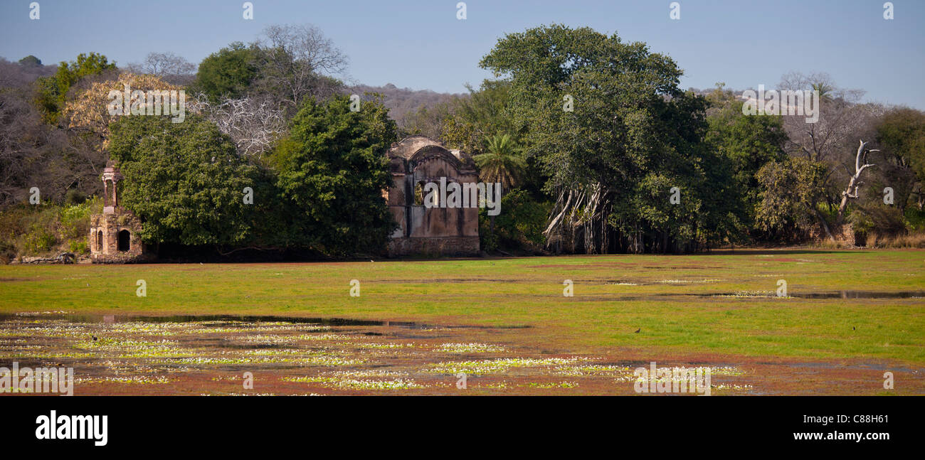 Rajbagh Lake and Maharaja of Jaipur's Hunting Lodge in Ranthambhore ...