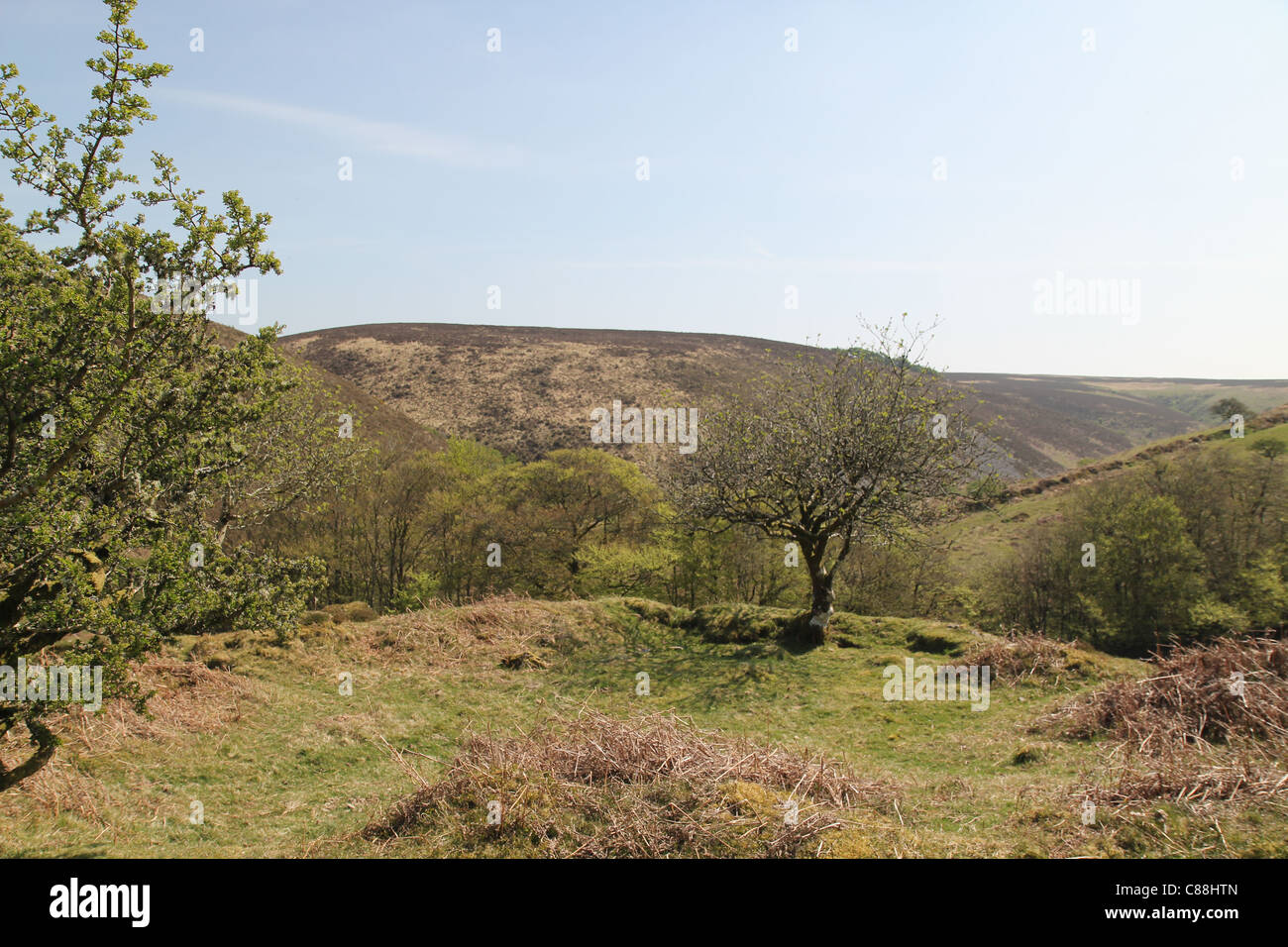 Doone valley exmoor hi-res stock photography and images - Alamy