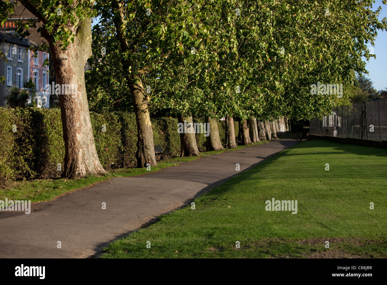 Tarmac pathway hi-res stock photography and images - Alamy