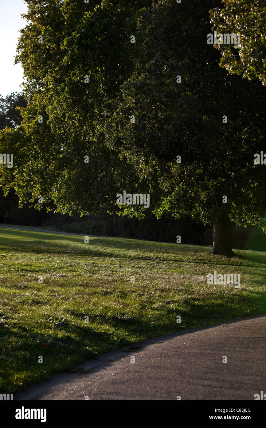 Tarmac path boarding the green grass in a park, London, England, UK, GB ...
