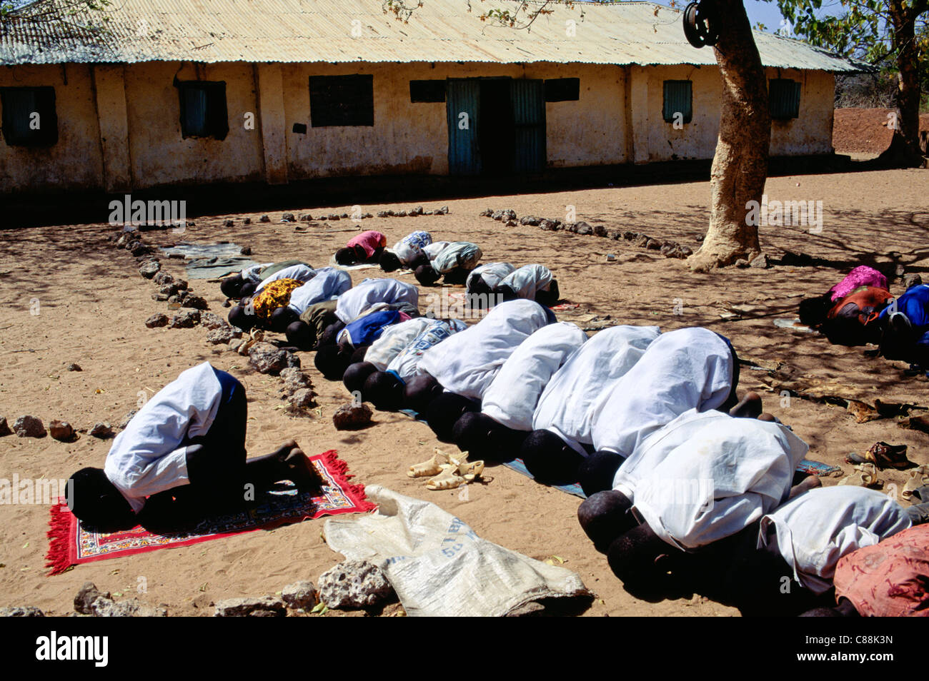 The Gambia, Africa. Muslim schoolchildren praying outside the school ...