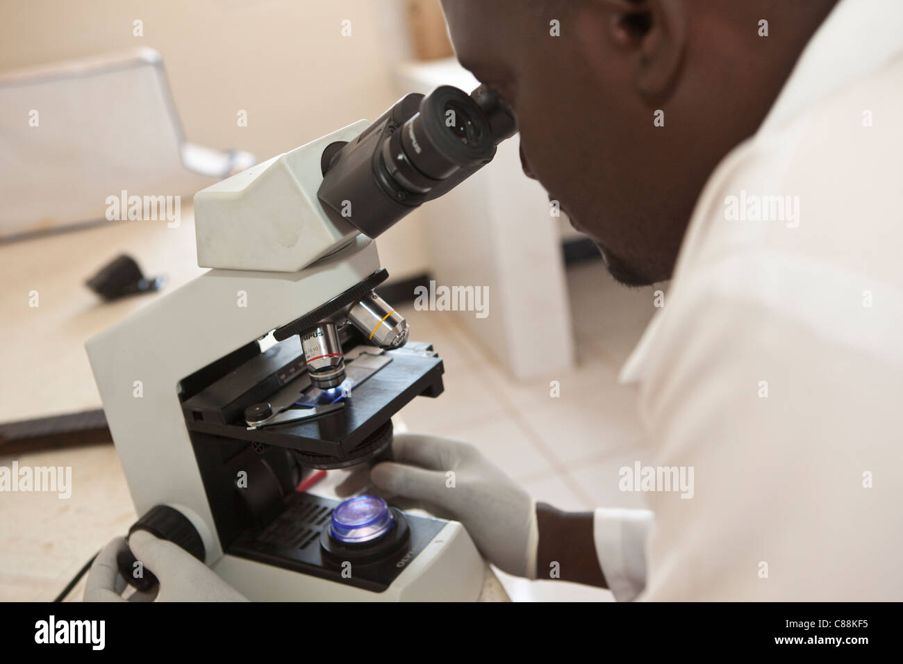 Tissue culture lab hi-res stock photography and images - Alamy