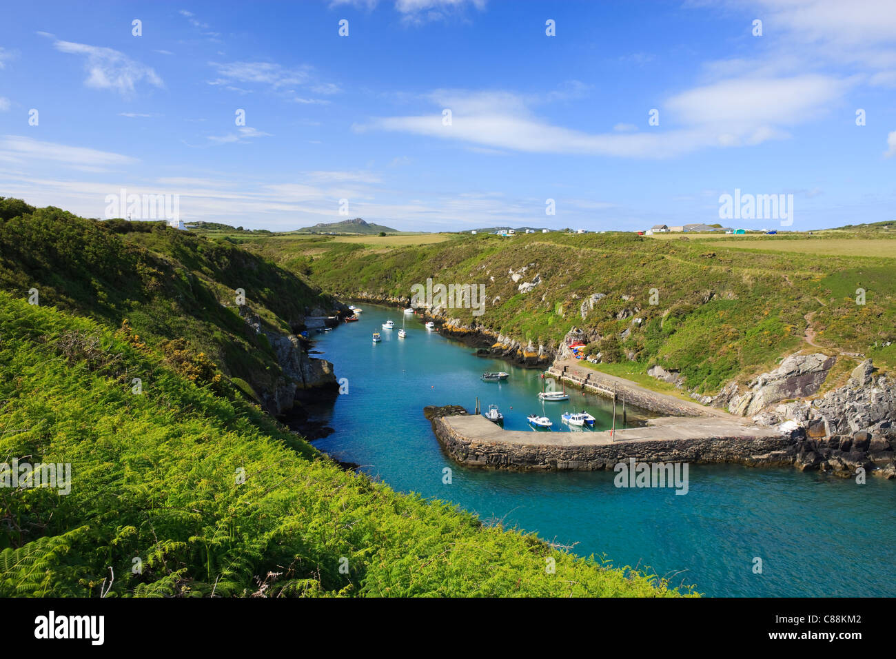 Porthclais harbour hi-res stock photography and images - Alamy