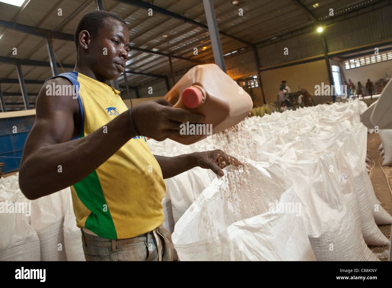 Sacks of grain weighing hi-res stock photography and images - Alamy