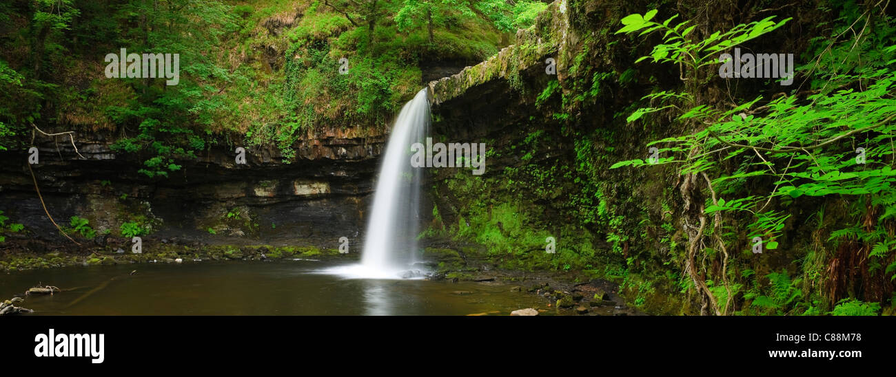 The lady falls hi-res stock photography and images - Alamy