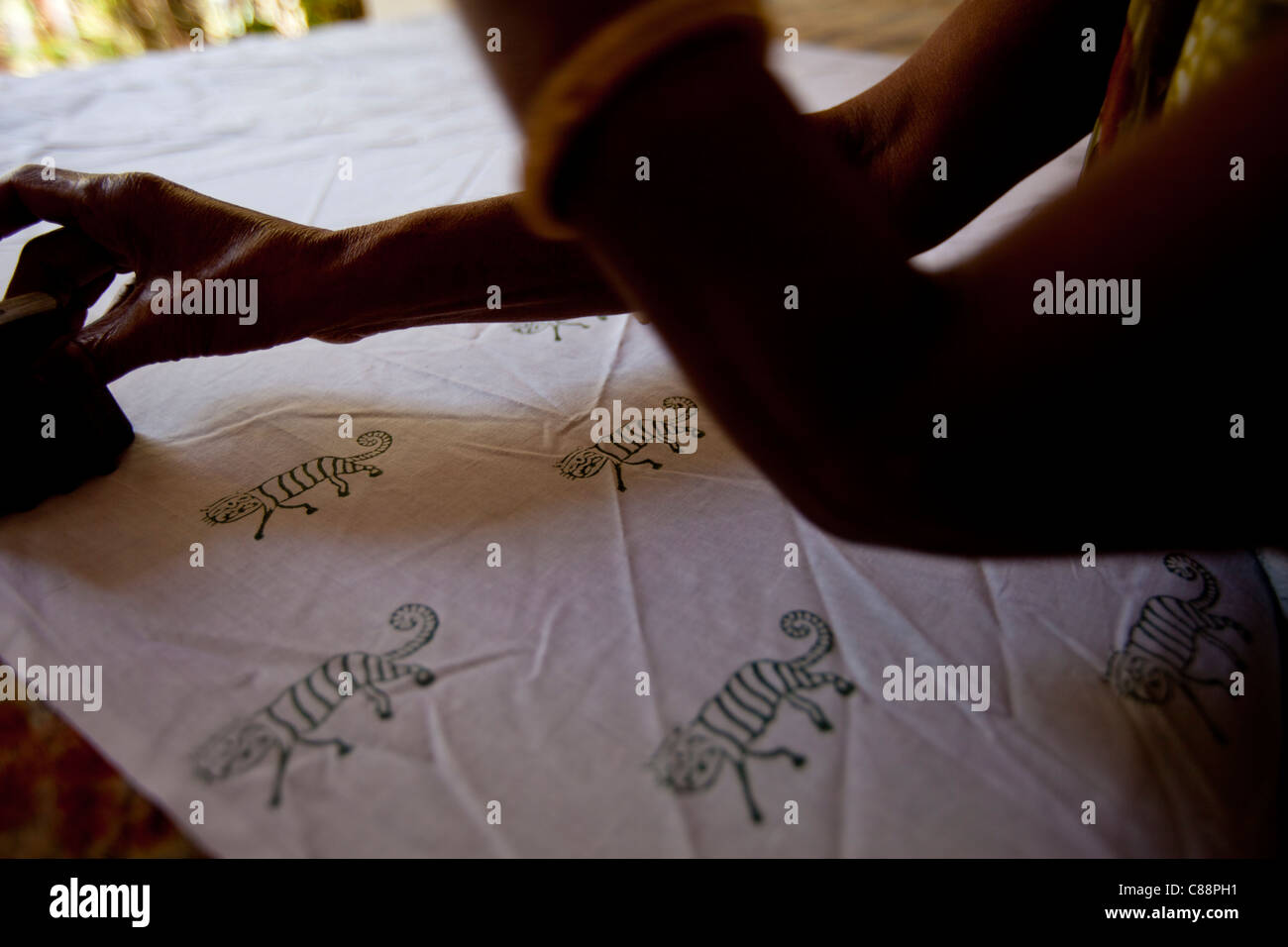 Woman die stamping textiles with tiger motif at Dastkar women's craft ...