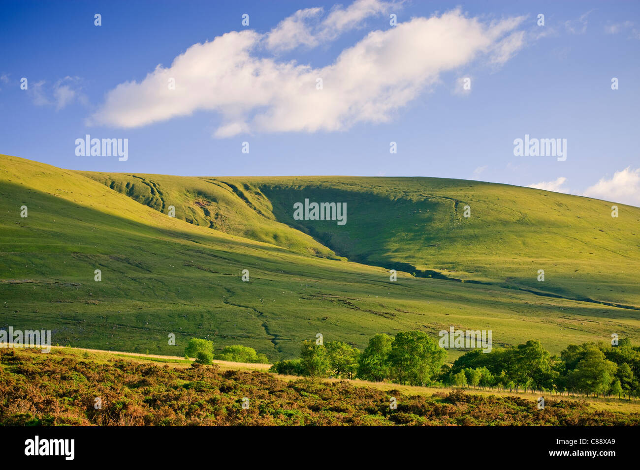 Rural countryside Llanddeusant (Y Mynydd Du) Black Mountain Brecon ...