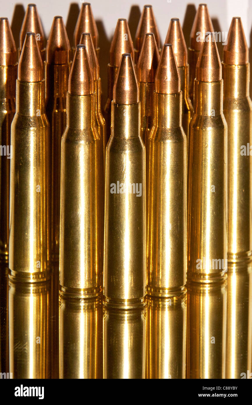 Hunting Rifle Bullets Stock Photo - Alamy