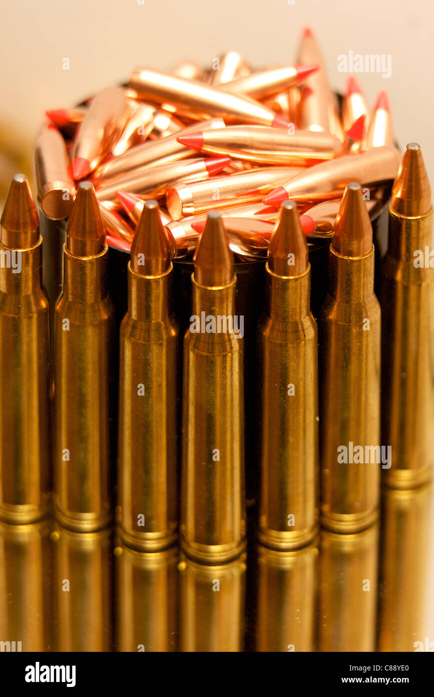 Hunting Rifle Bullets Stock Photo - Alamy