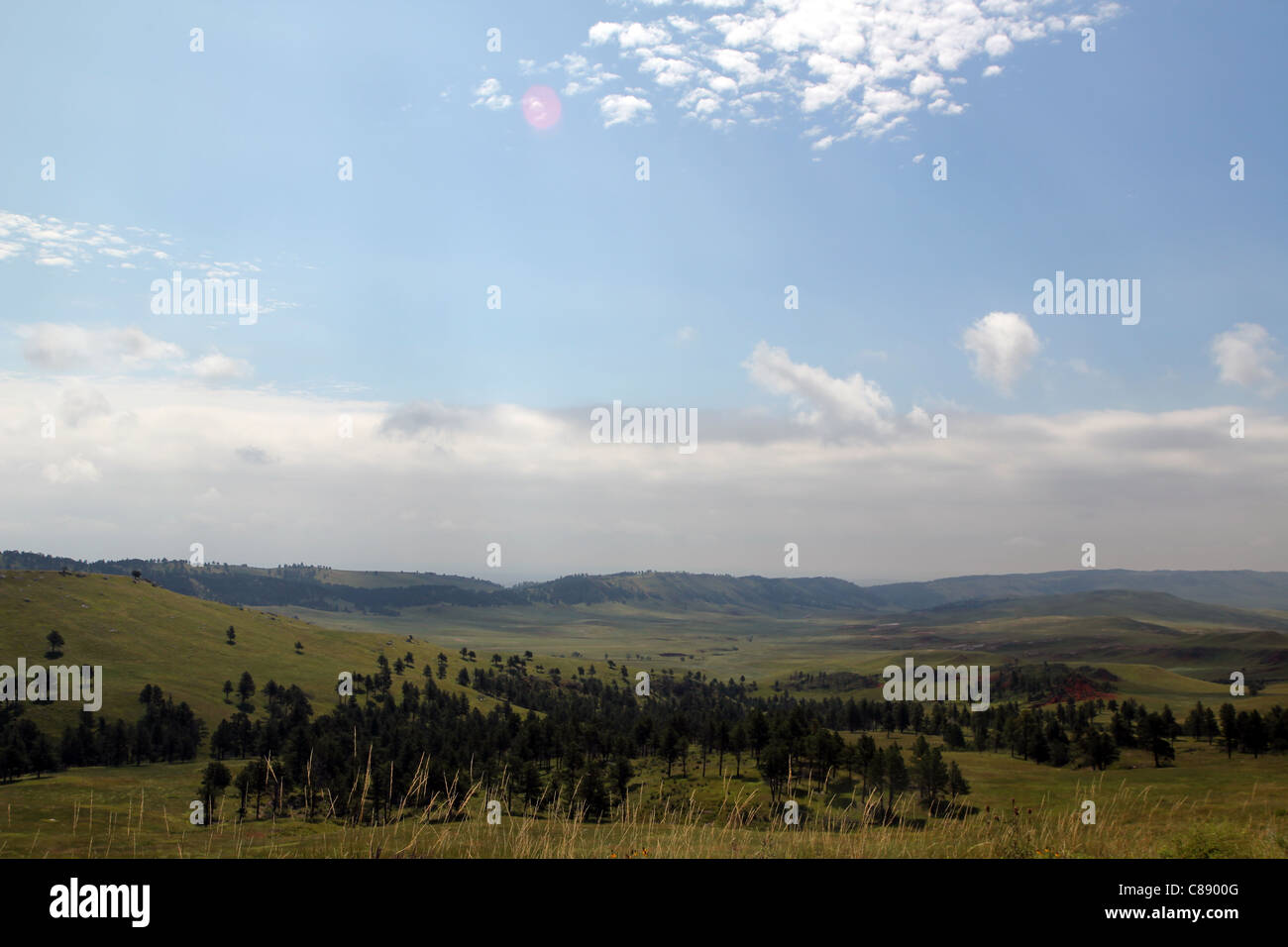 Custer national park hi-res stock photography and images - Alamy