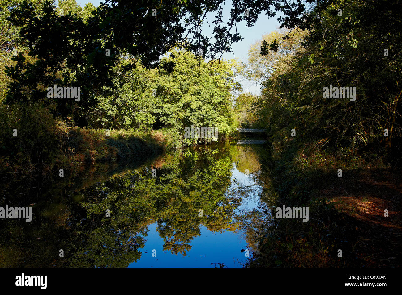Tonbridge river medway hi-res stock photography and images - Alamy