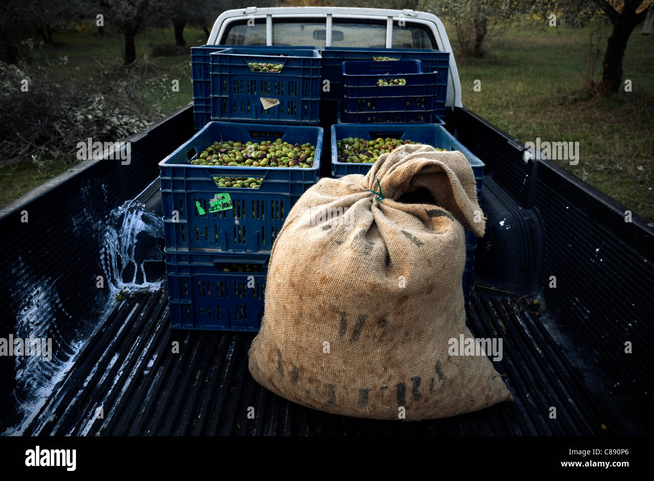 The harvest stowed, in crates and burlap sack, on the vehicle that will ...