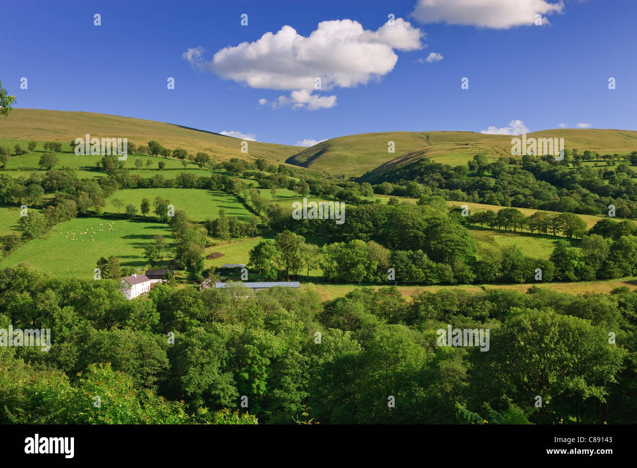 Rural countryside Llanddeusant (Y Mynydd Du) Black Mountain Brecon ...