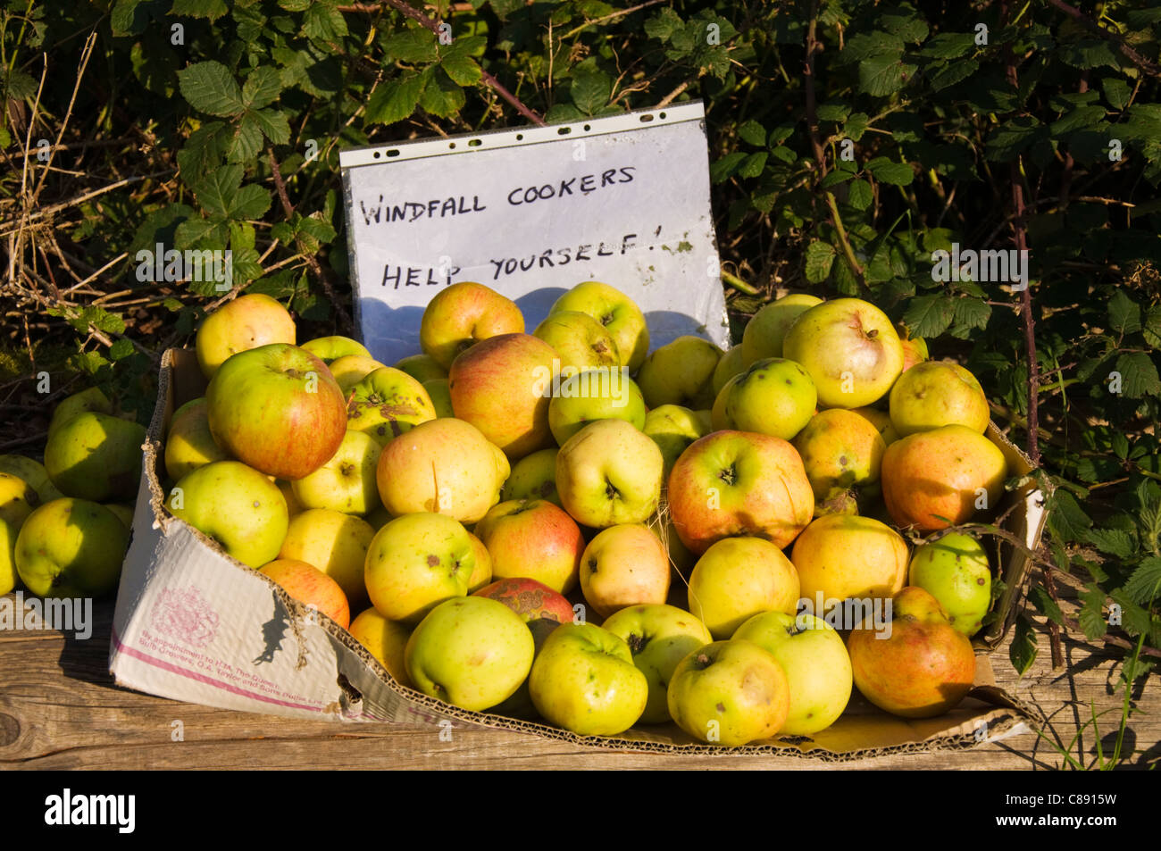 Help yourself to fruit hi-res stock photography and images - Alamy