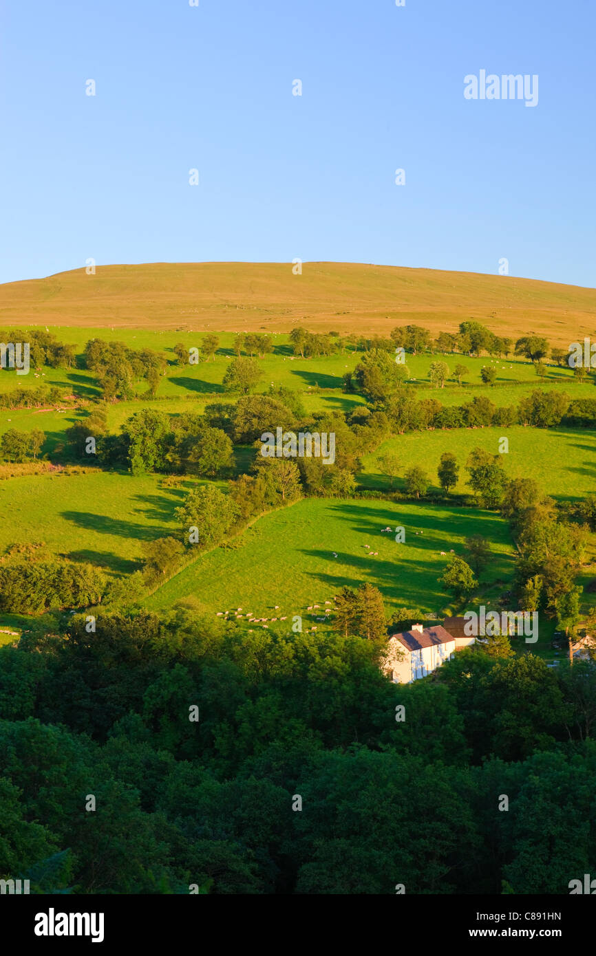 Rural countryside Llanddeusant (Y Mynydd Du) Black Mountain Brecon ...