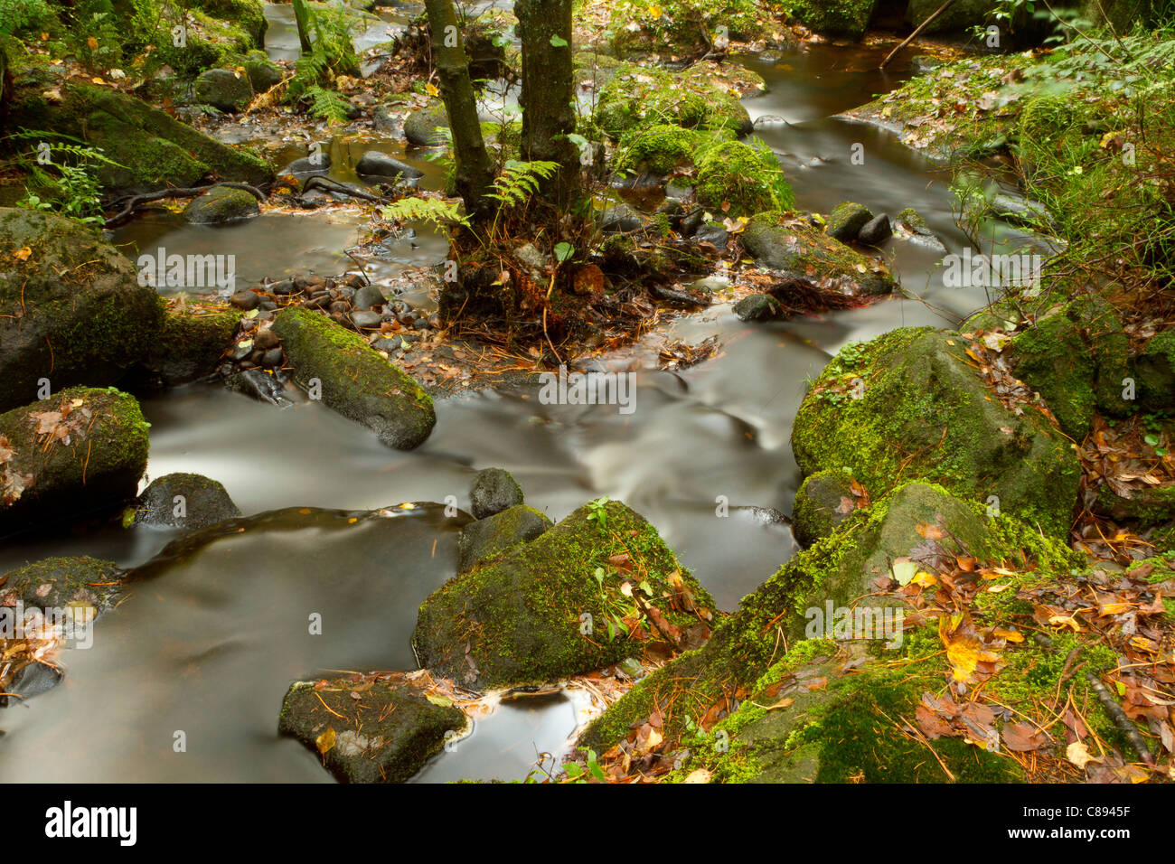 Moss brook hi-res stock photography and images - Alamy