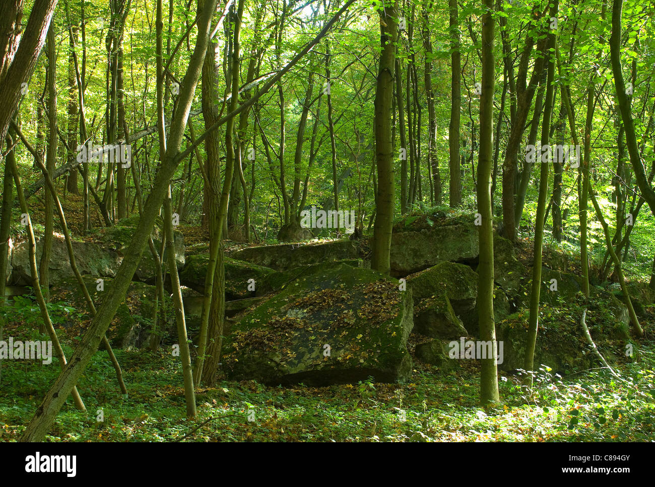 Ruins concrete german bunker hi-res stock photography and images - Alamy