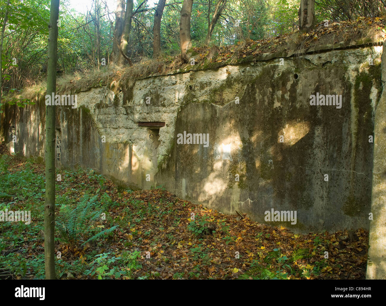 Fortyfive hi-res stock photography and images - Alamy