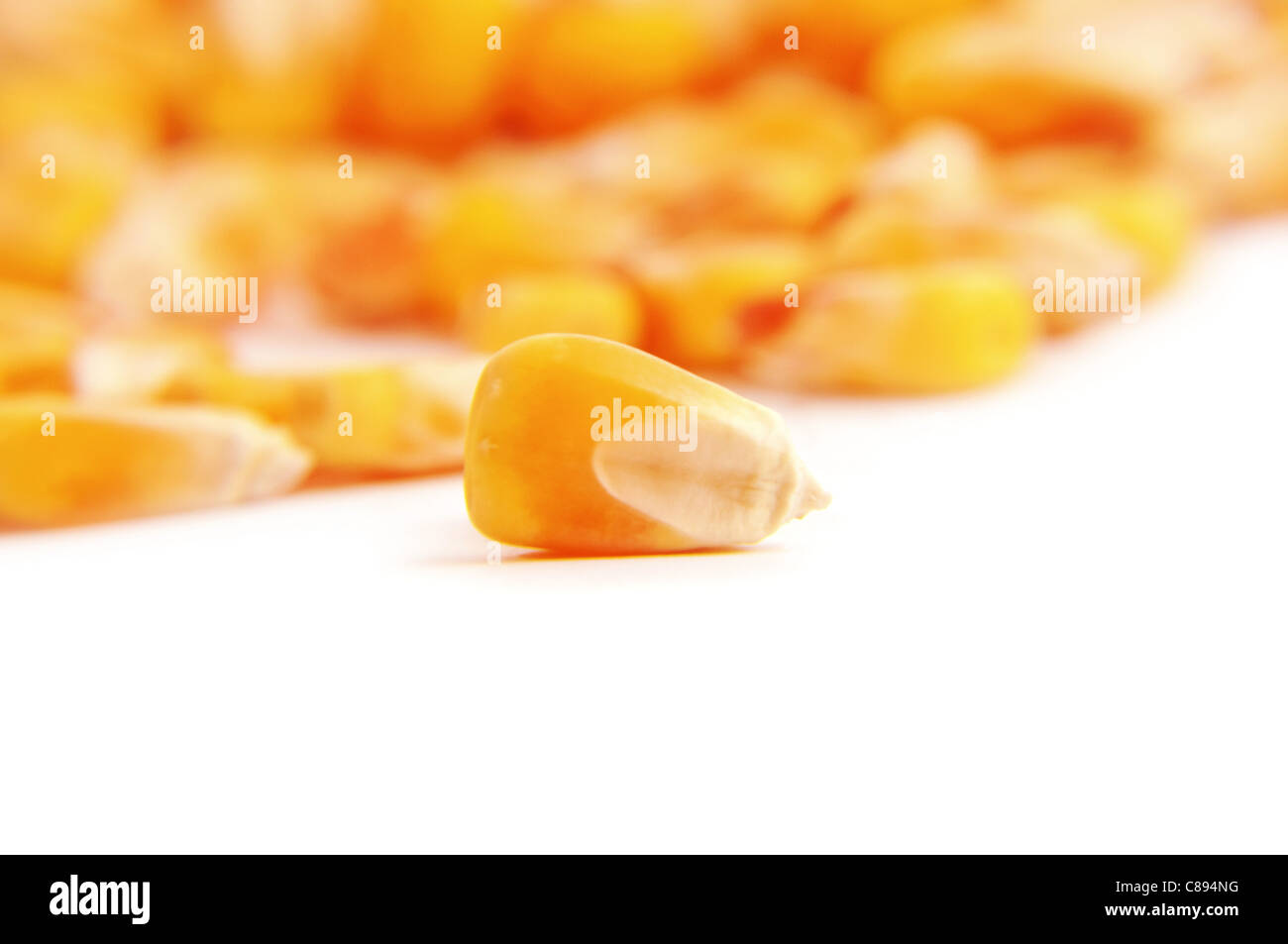 Corn kernels, nice agriculture background image Stock Photo - Alamy