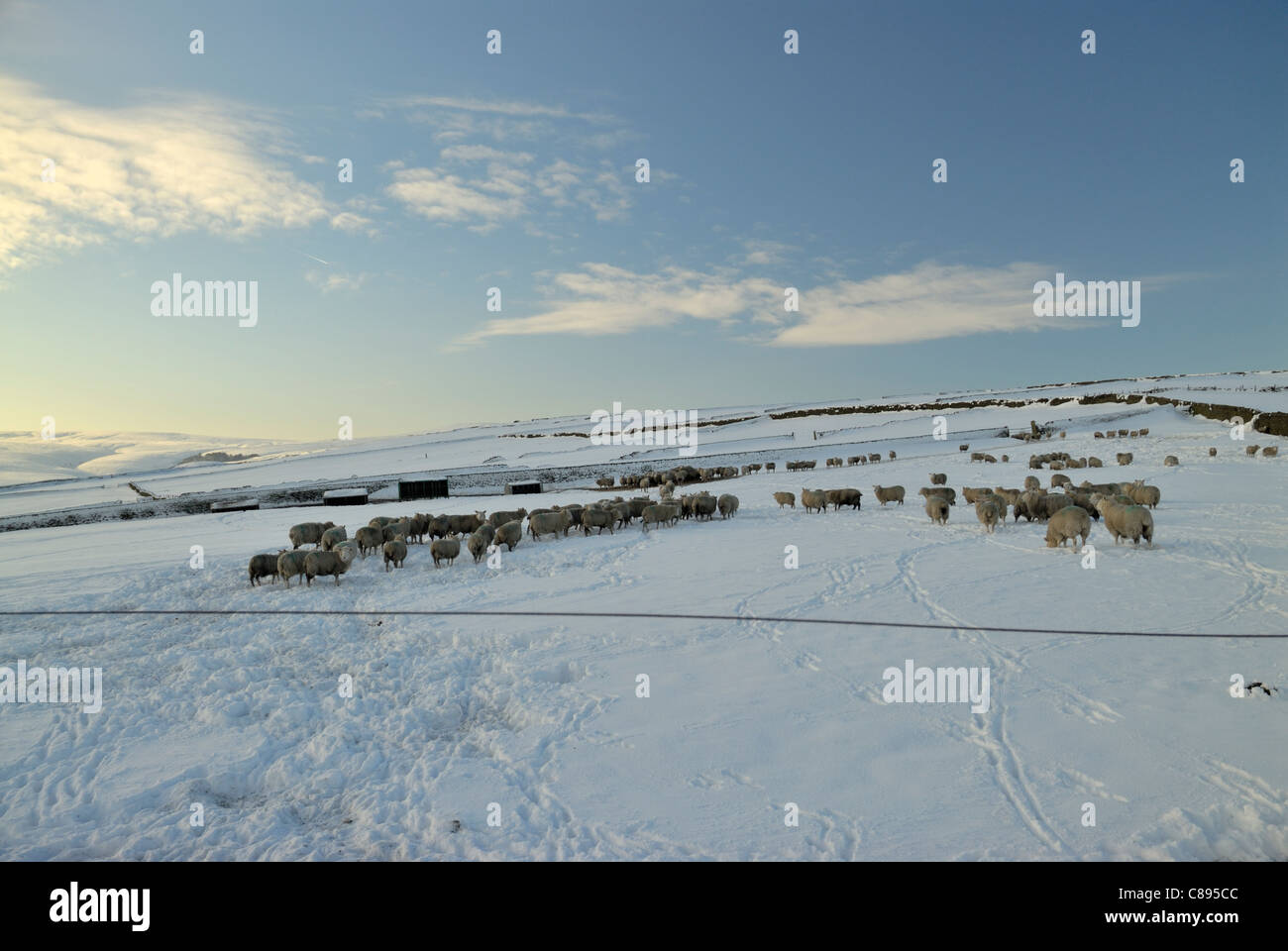 Deep reservoirs hi-res stock photography and images - Alamy