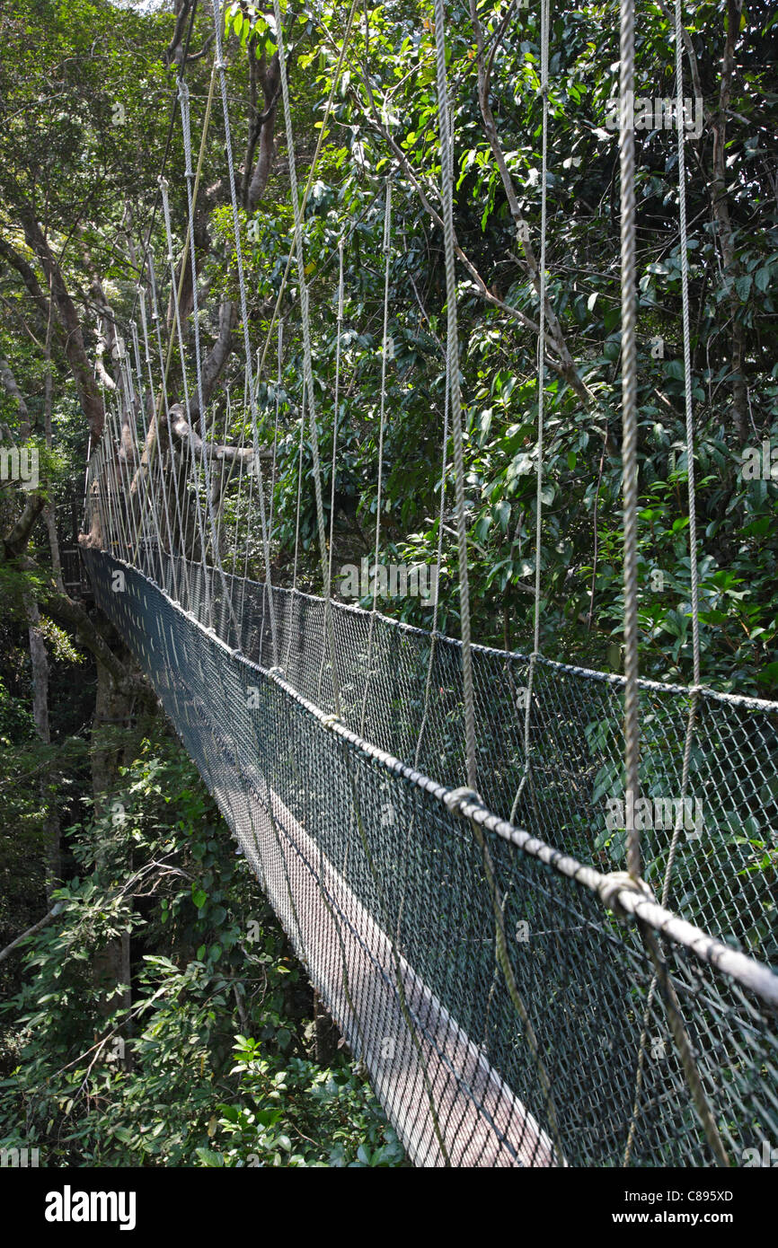 Canopy walk hi-res stock photography and images - Alamy