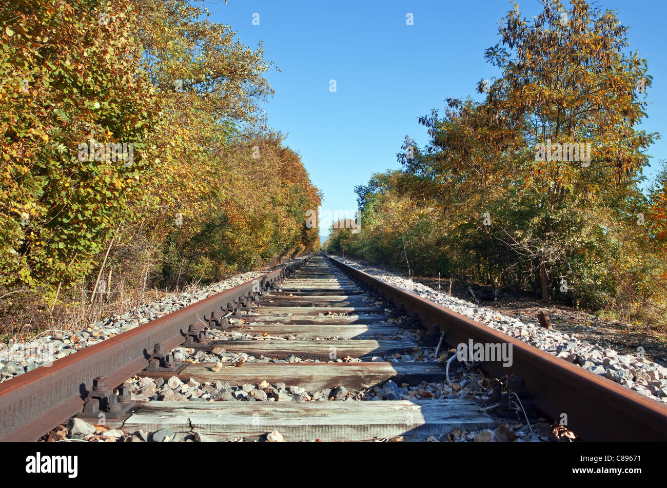 Forest railway hi-res stock photography and images - Alamy
