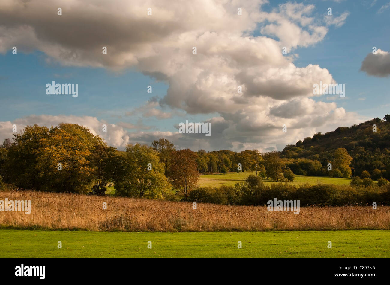 Countryside landscape, fall season, England, UK Stock Photo - Alamy