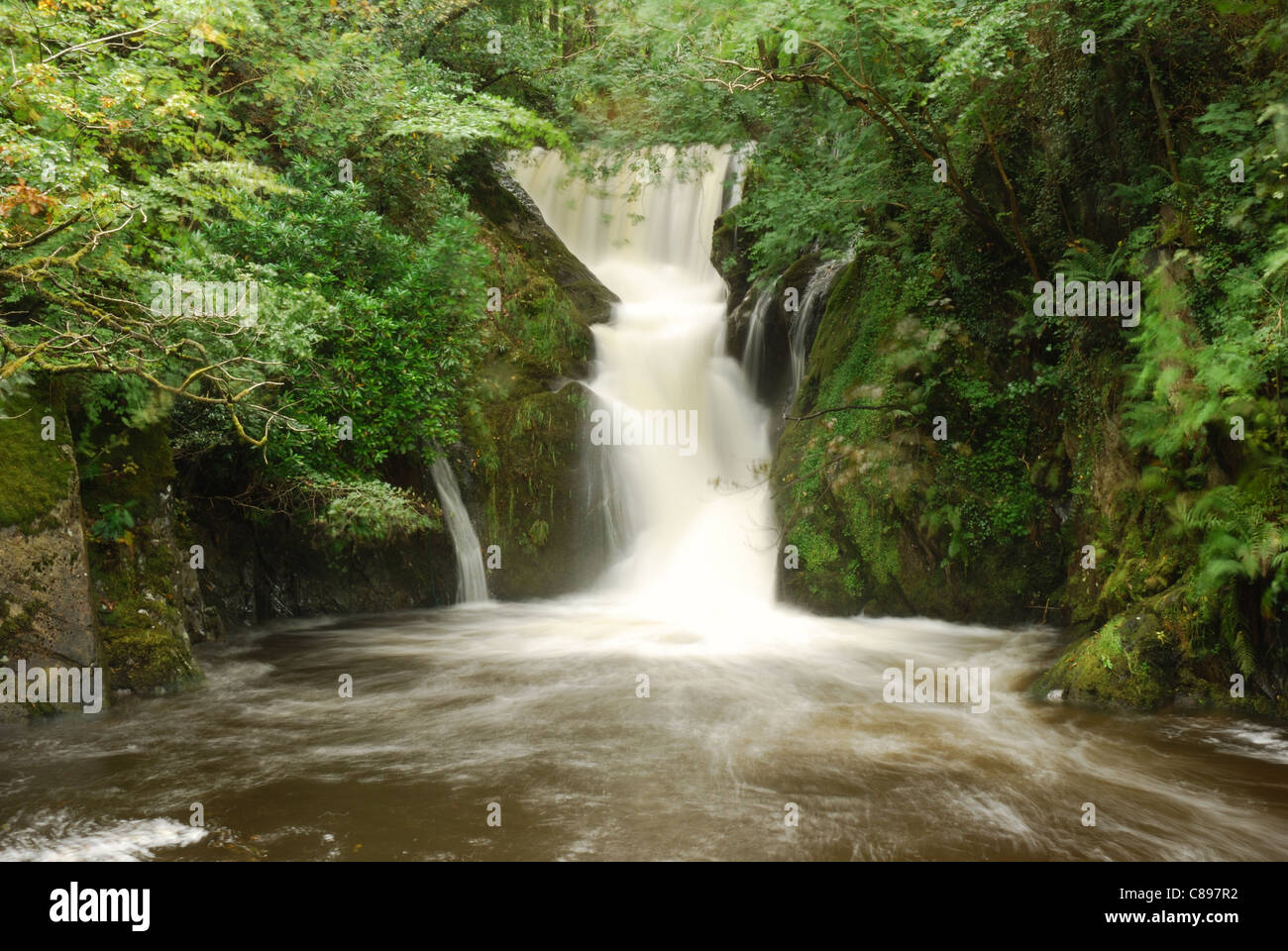 Furnace Falls, Furnace, Ceredigion, Wales, UK Stock Photo - Alamy