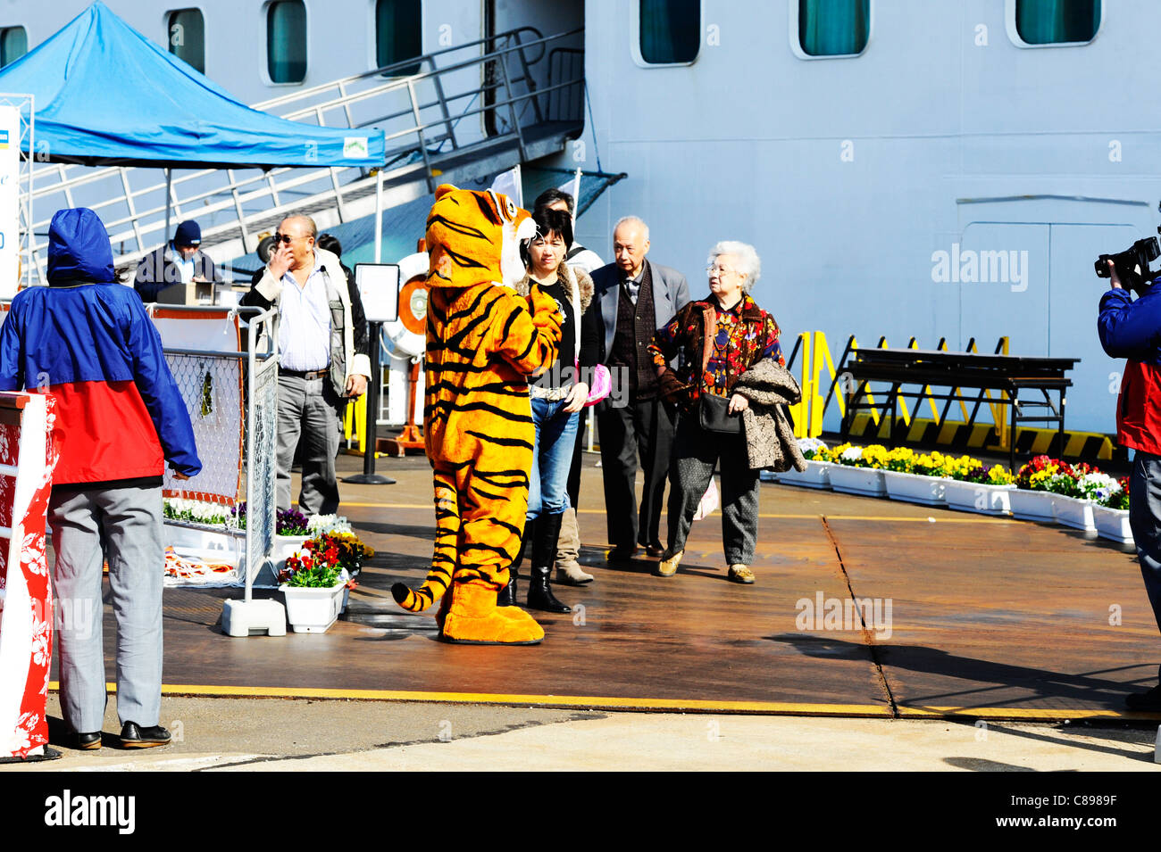 Tiger cruise hi-res stock photography and images - Alamy