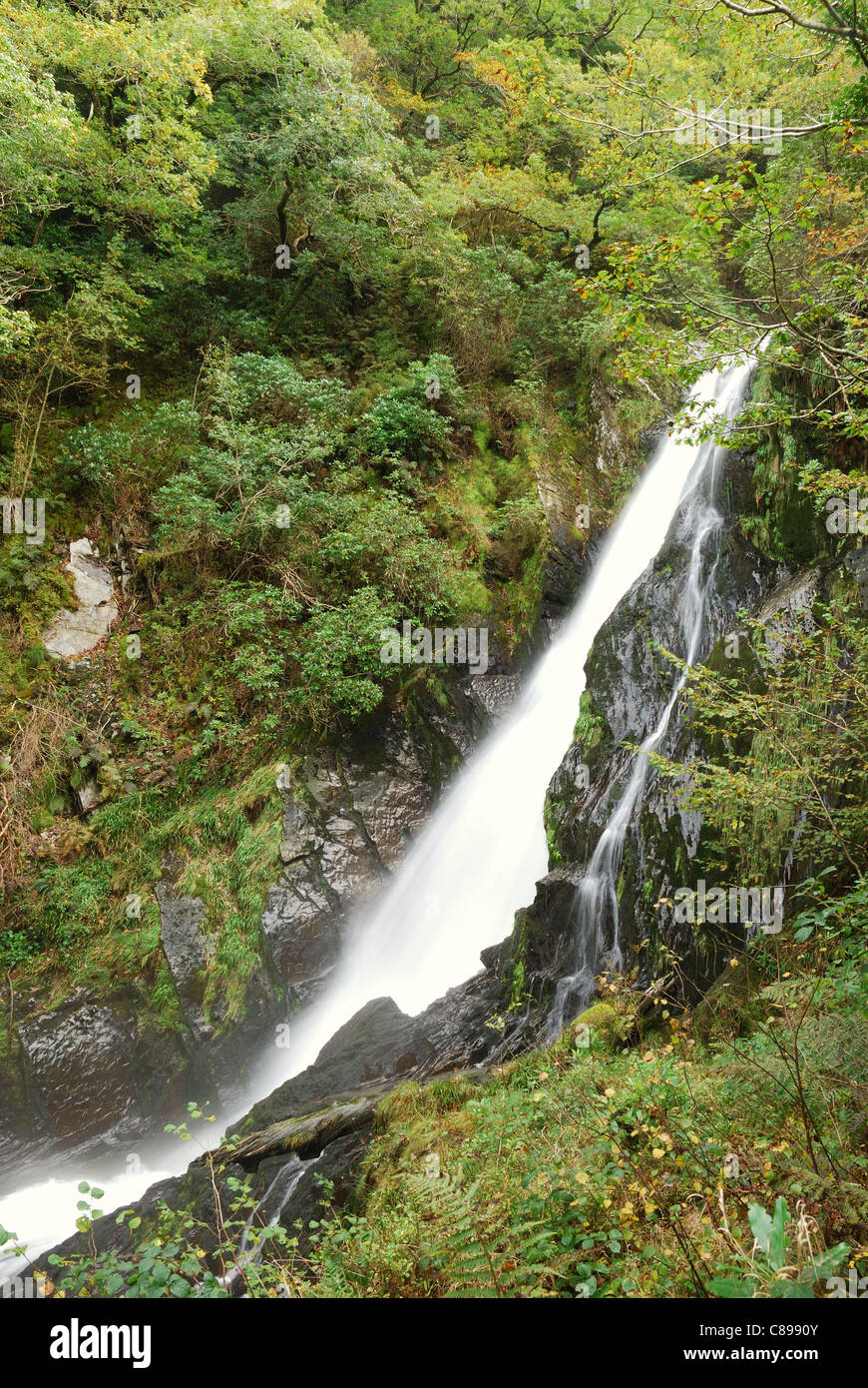 Mynach Falls, Devil's Bridge, Ceredigion, Wales, UK Stock Photo - Alamy