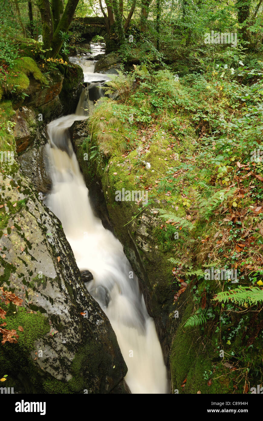 Hafod estate hi-res stock photography and images - Alamy