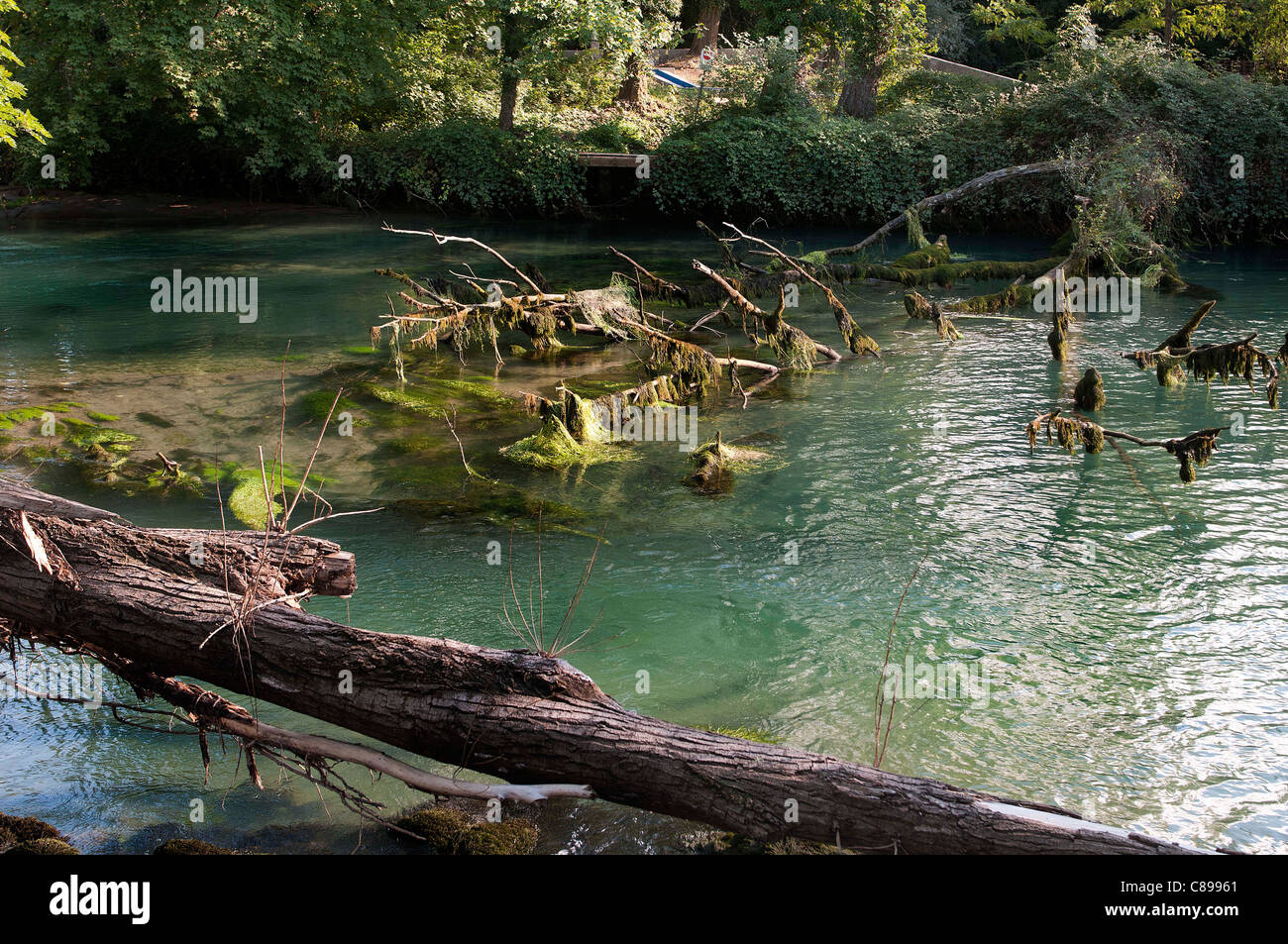 The Timavo river, Trieste Stock Photo - Alamy