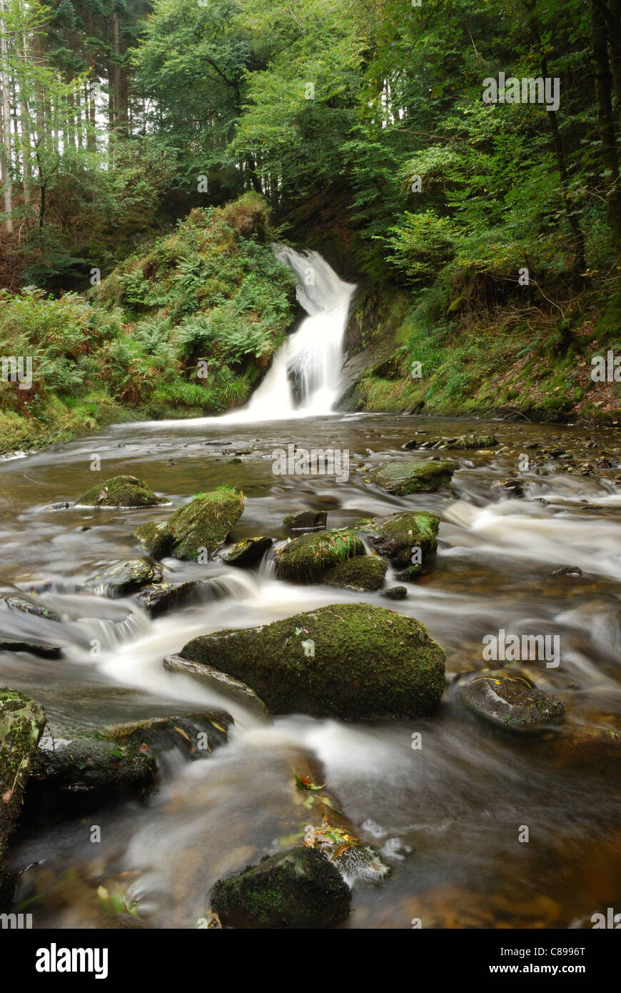 Hafod wales hi-res stock photography and images - Alamy