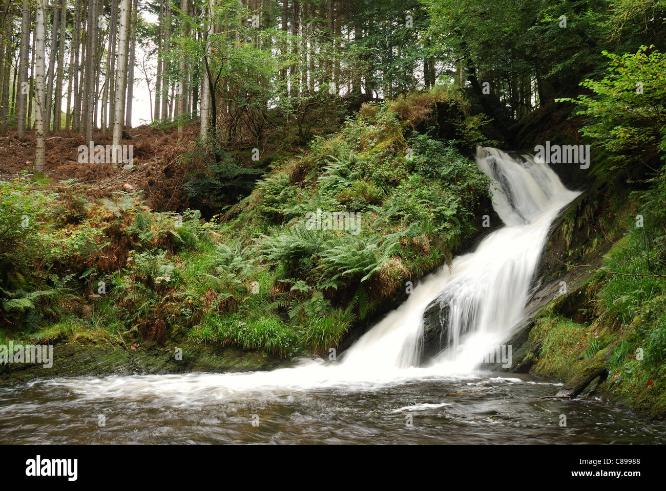Hafod wales hi-res stock photography and images - Alamy