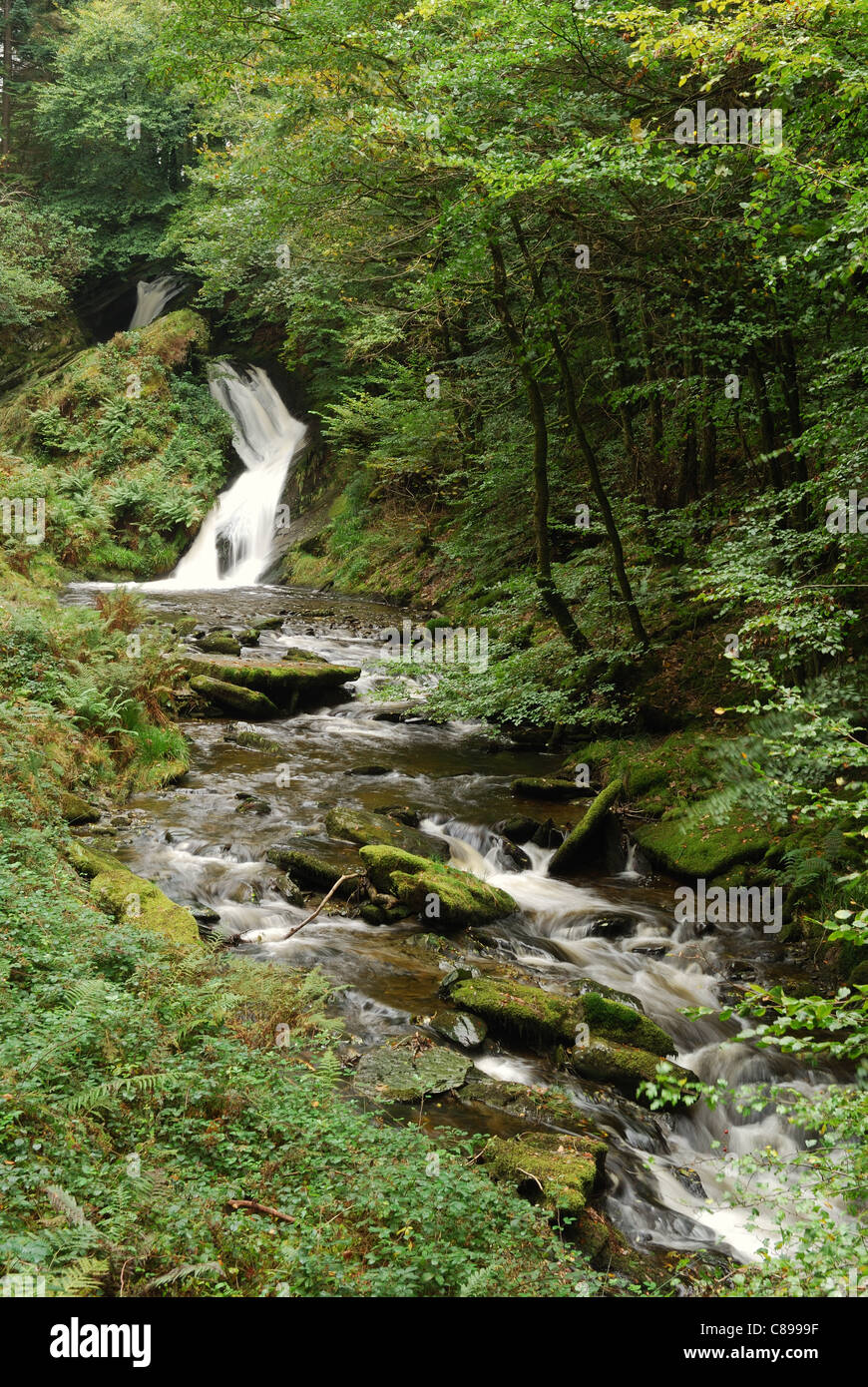 Hafod Estate High Resolution Stock Photography and Images - Alamy