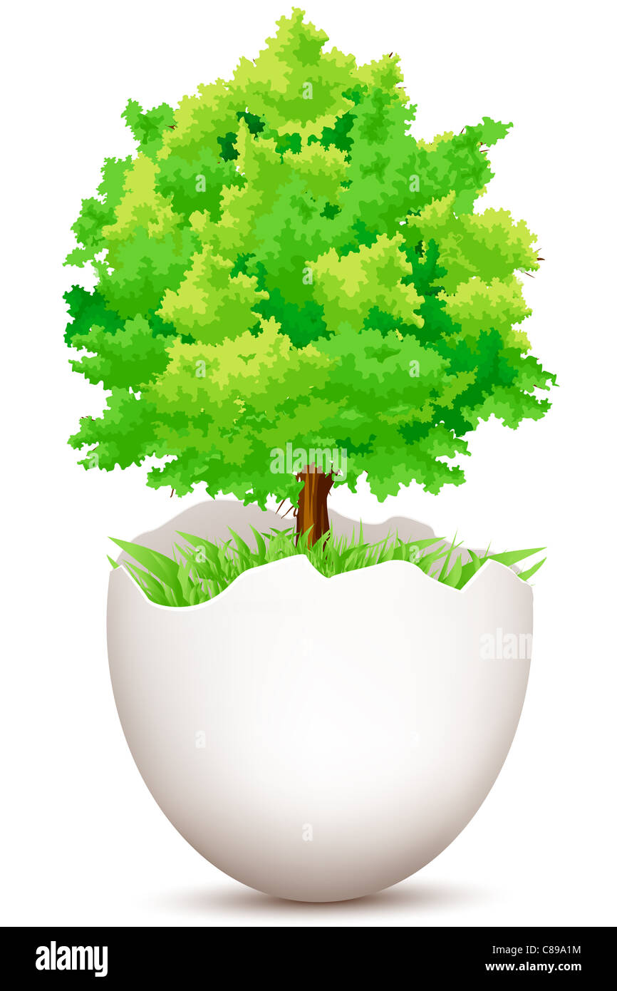 illustration of tree on egg on white background Stock Photo - Alamy