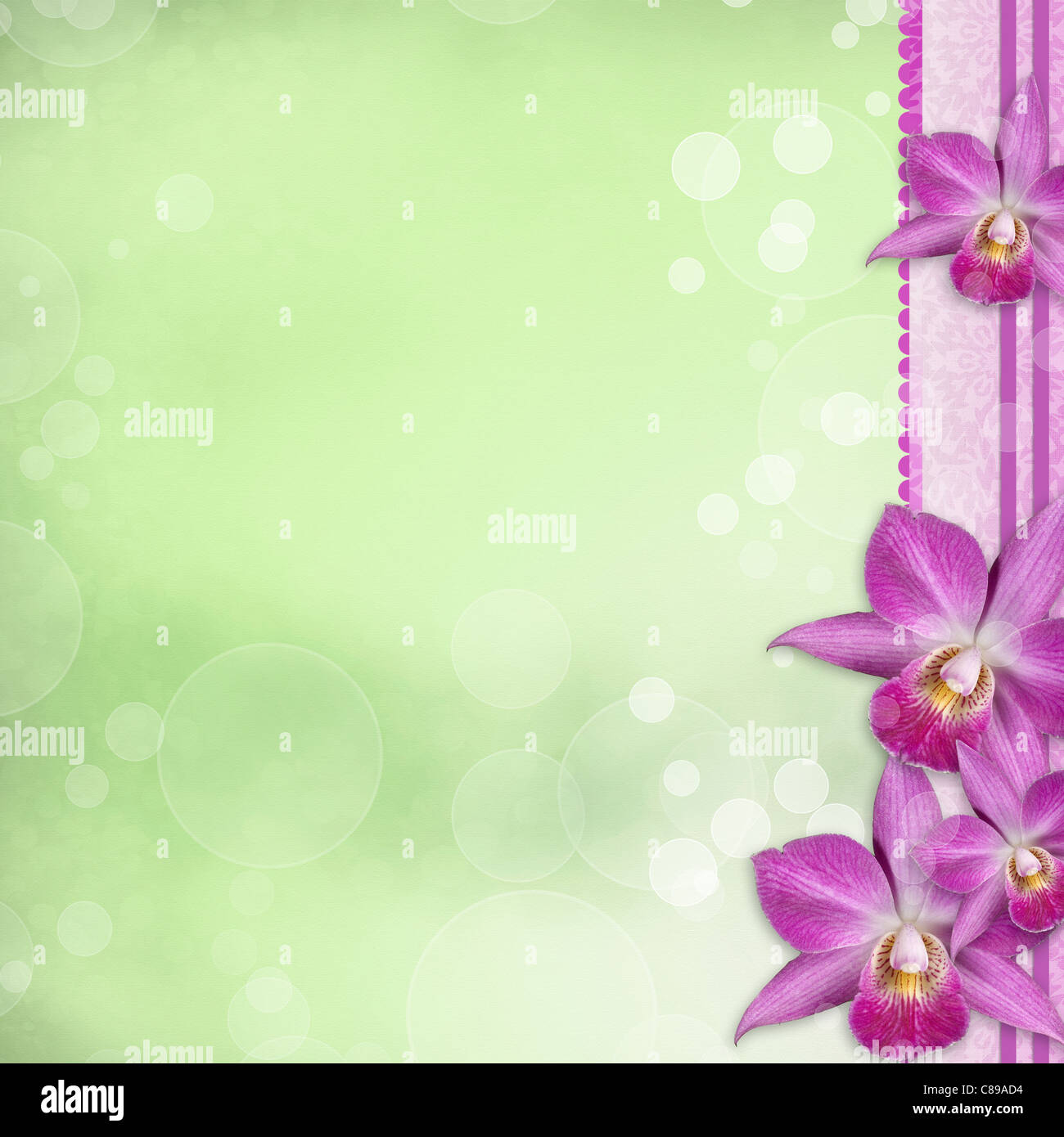 Beautiful Orchid border Stock Photo - Alamy