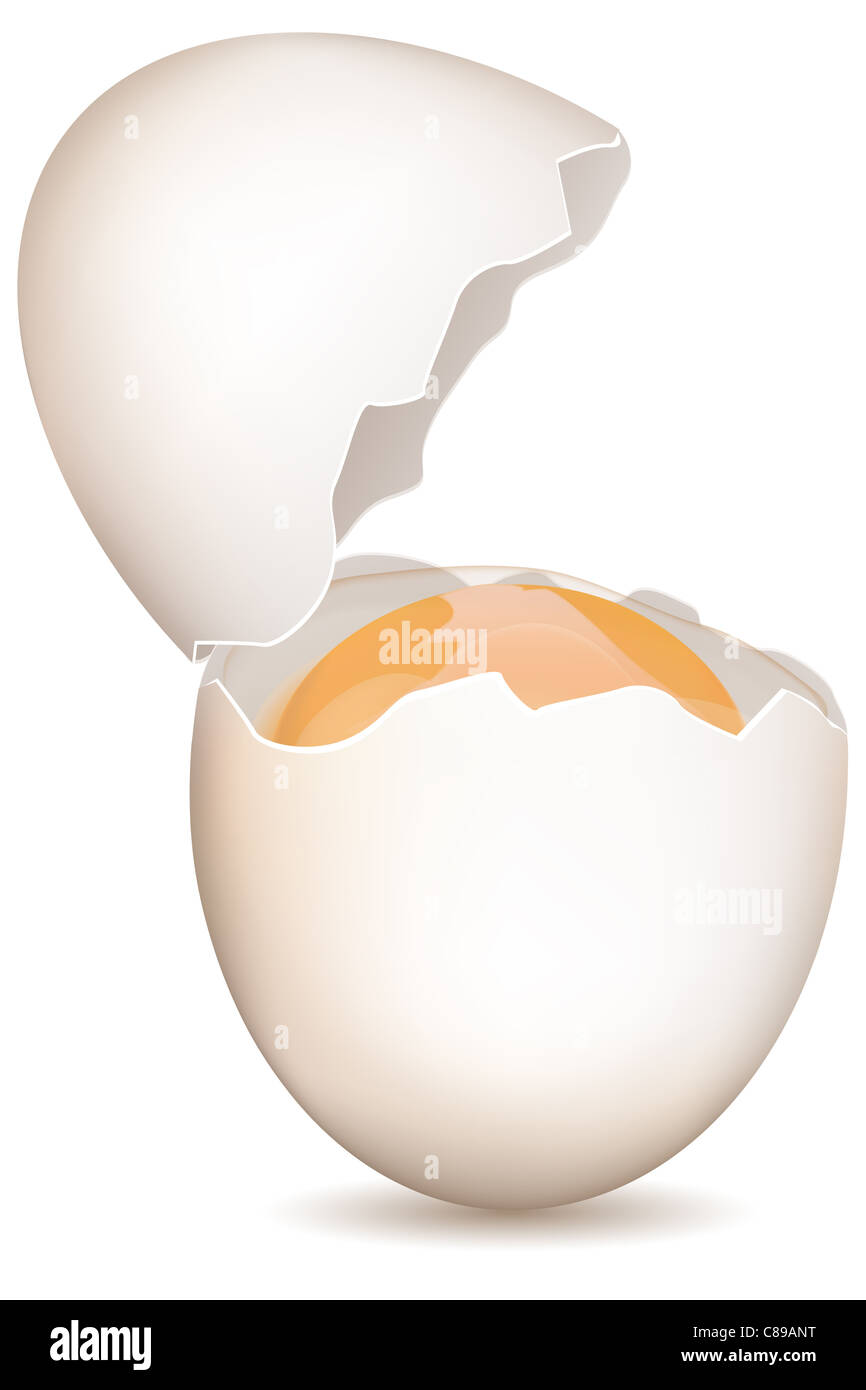 illustration of breaking egg on white background Stock Photo - Alamy