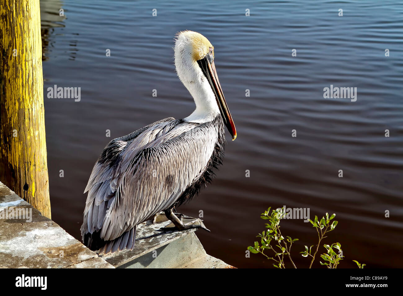 Resting waterside hi-res stock photography and images - Alamy